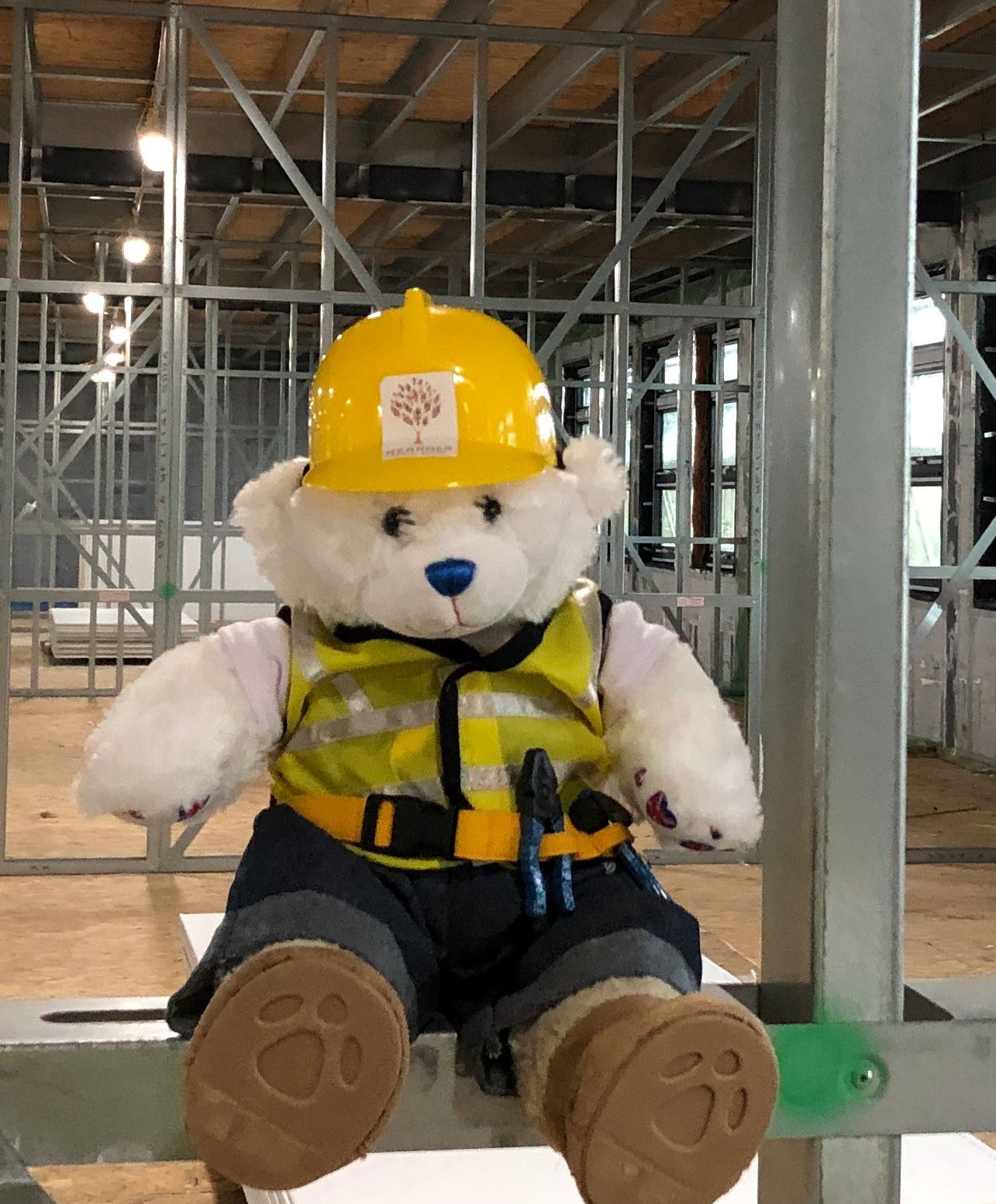 Meet Cheddy the Teddy! - Nerrols Primary School